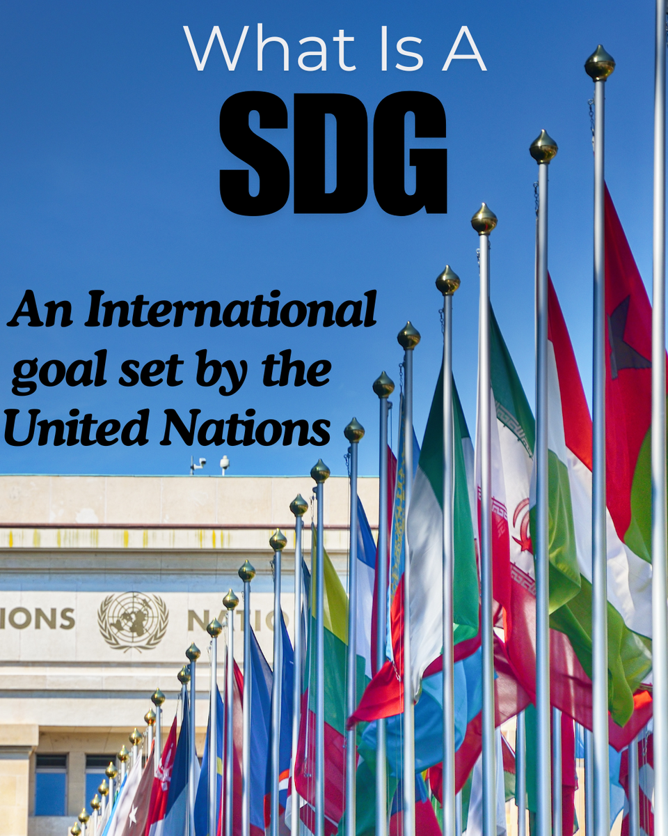 What are SDGs?