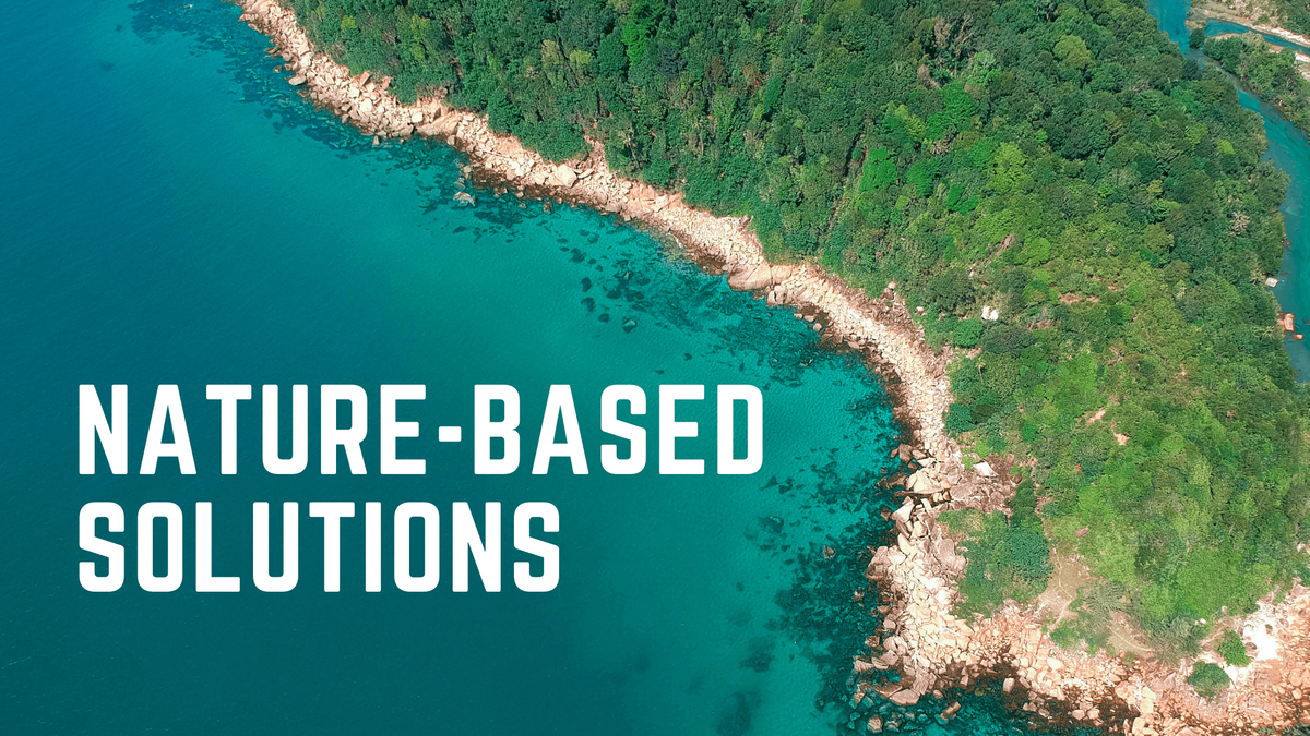 What are Nature-Based Solutions?