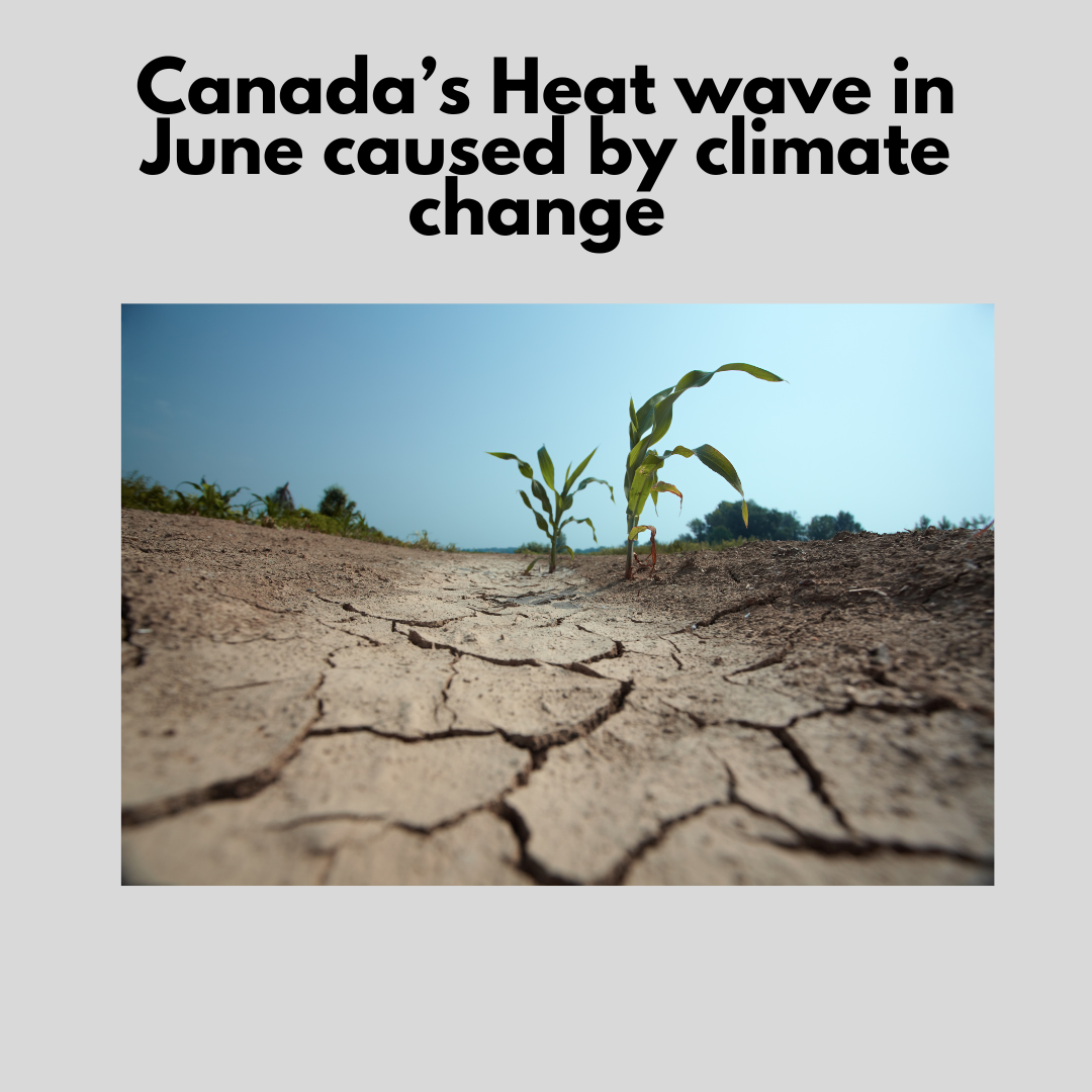 Canada's heat wave in June caused by climate change