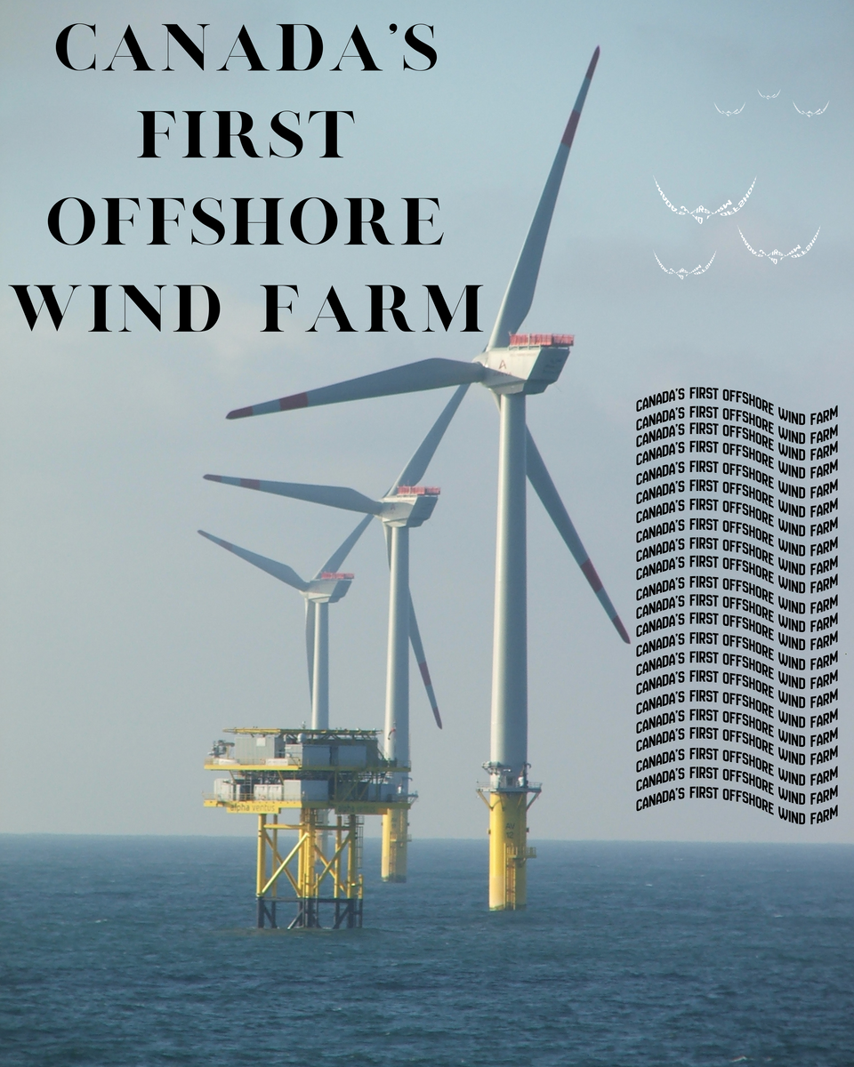 Canada's First Offshore Wind Farm