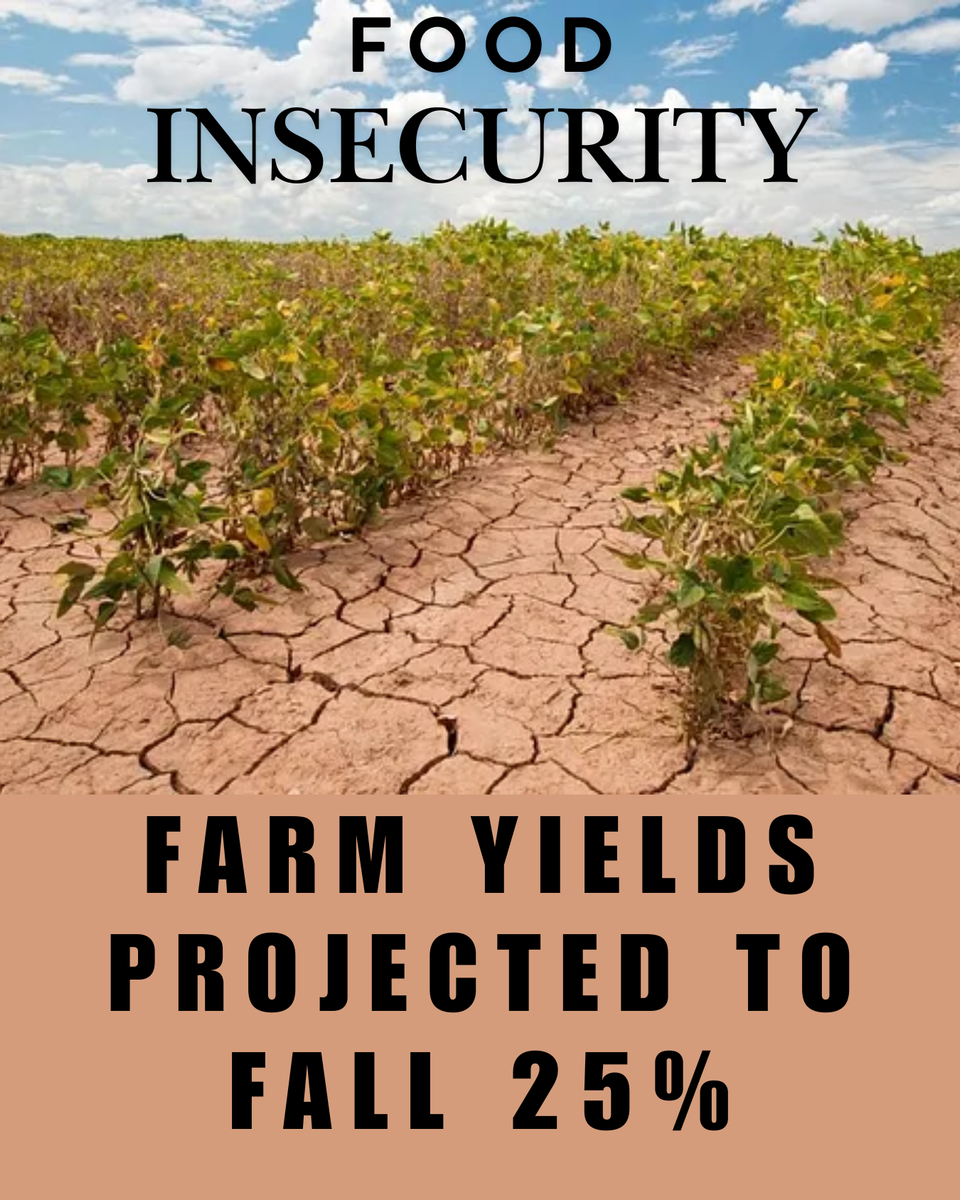 How Climate Change Will Impact Food Production