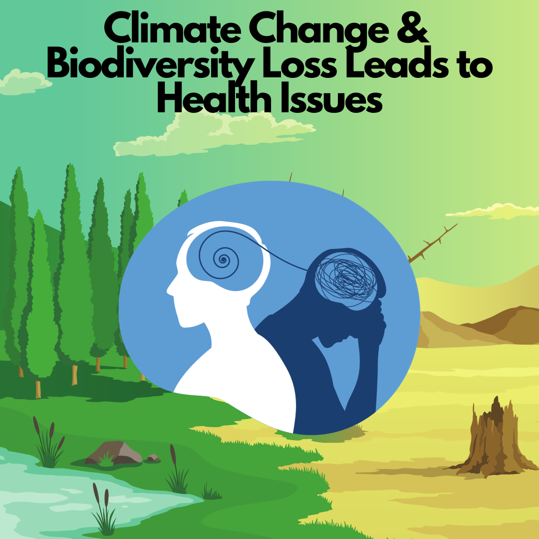 Climate Change and Biodiversity Loss Leads to Health Issues