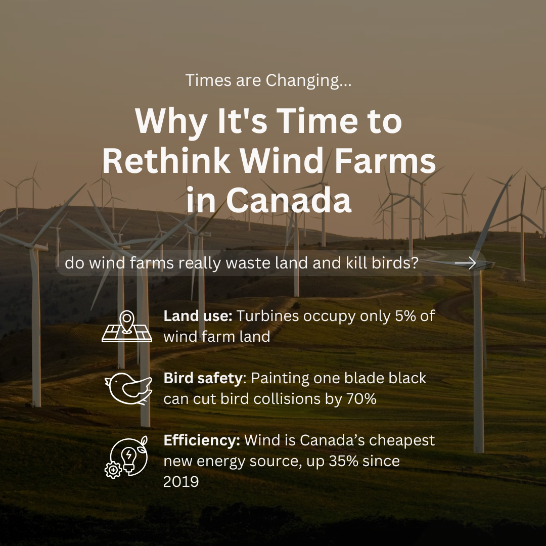 Why It’s Time to Rethink Wind Farms in Canada