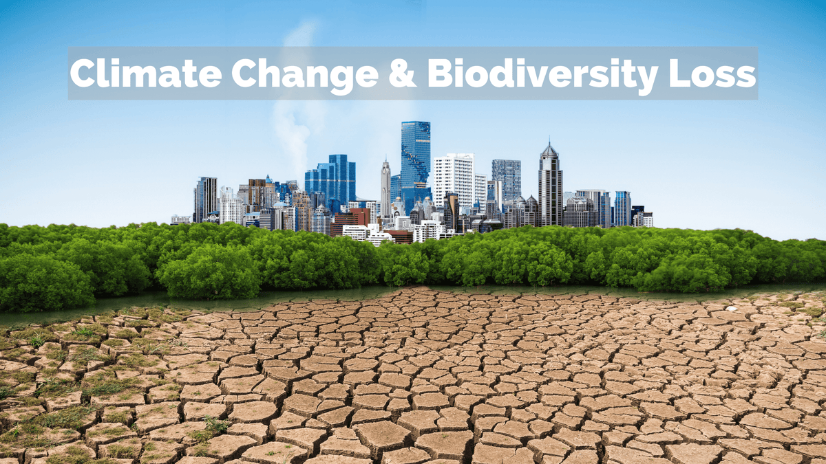 Climate Change & Biodiversity Loss